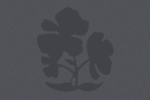 ANTIEGG - 프리랜서 에디터 공동체