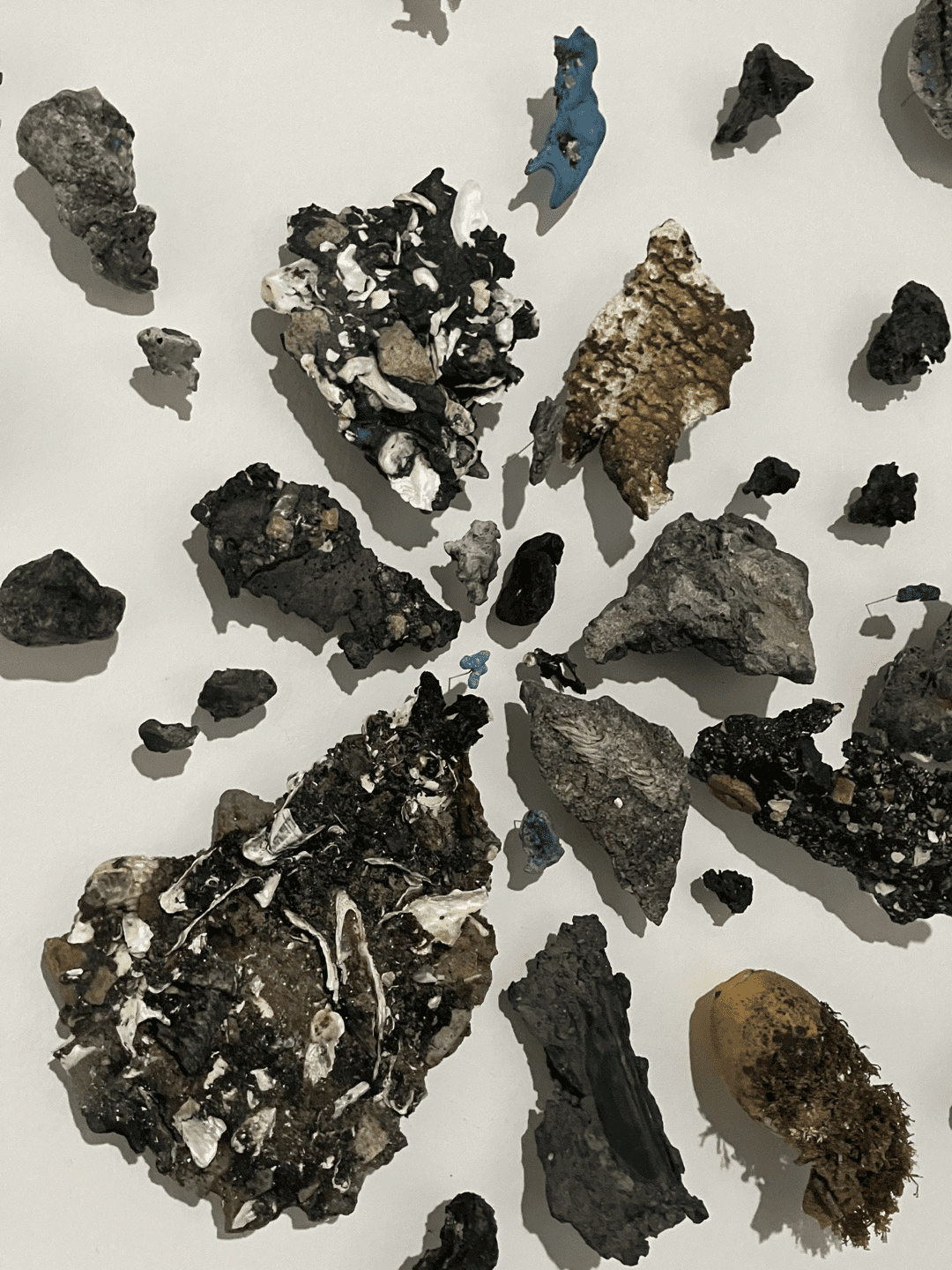 기후위기를 말하는 불편한 미술의 정체 - ANTIEGG 아트