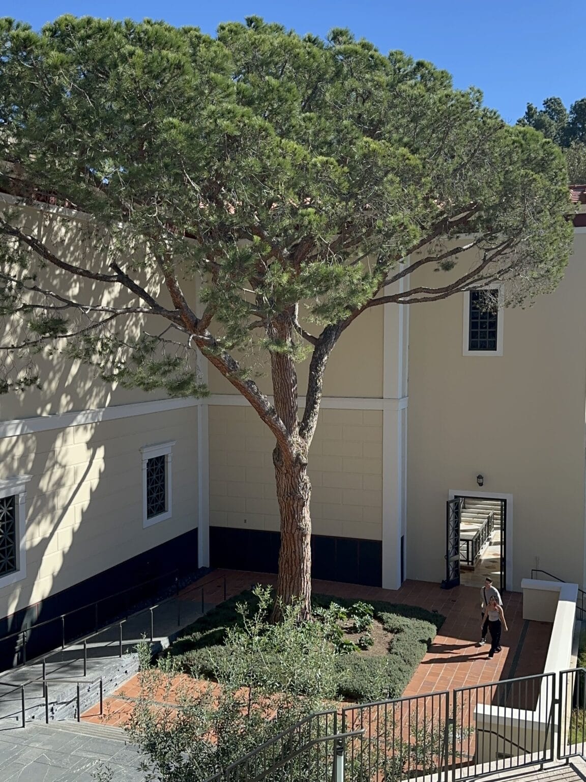 LA 건축 여행 게티 센터와 게티 빌라 - ANTIEGG 아트