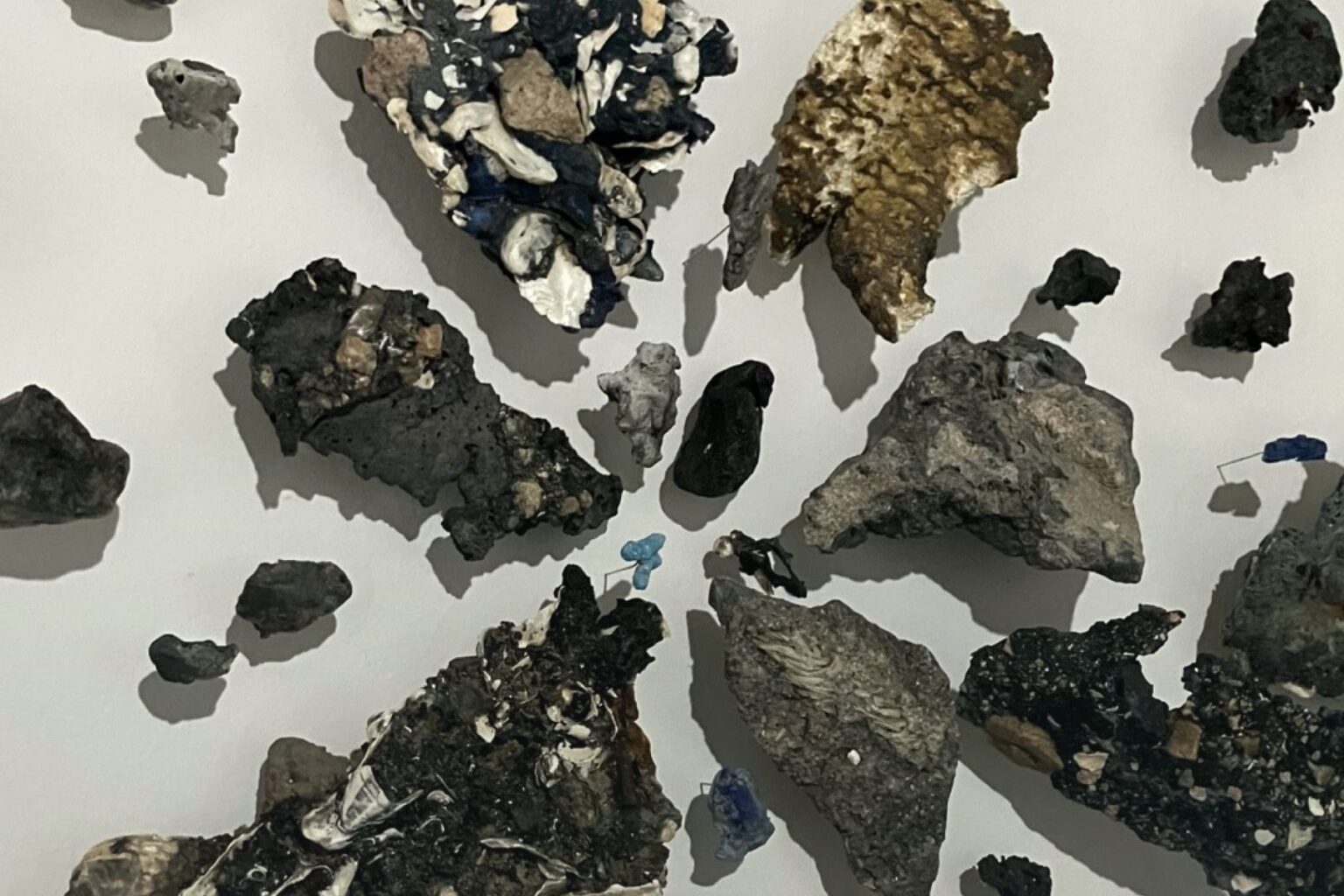 기후위기를 말하는 불편한 미술의 정체 - ANTIEGG 아트