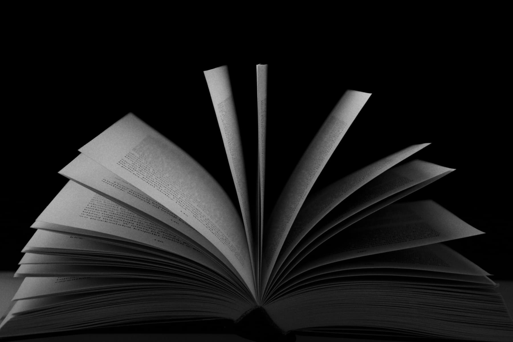 한국은 어쩌다 책과 멀어졌나 - ANTIEGG 그레이