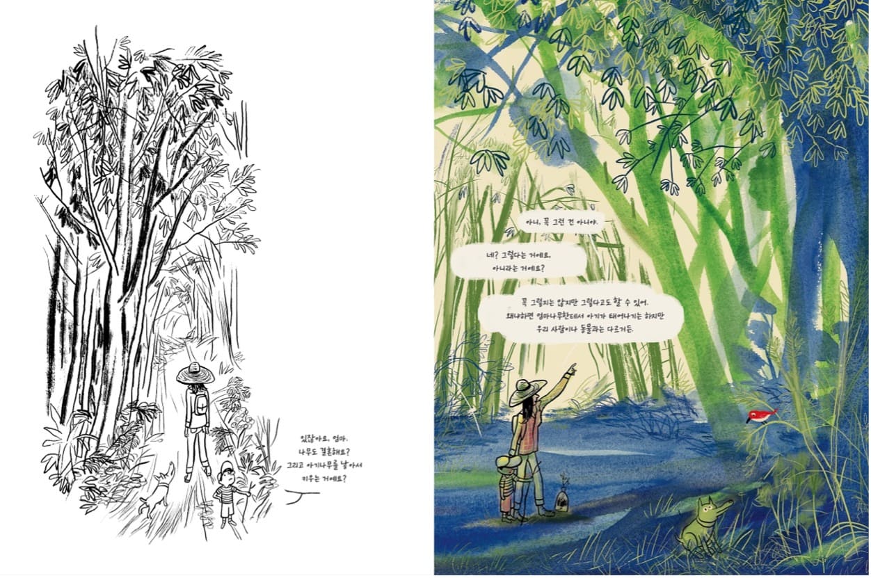 자연을 시처럼 노래한 여름의 그림책 3권 - ANTIEGG 컬쳐